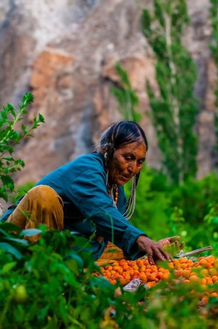 Brokpas, Baltis and more - The tribes of Ladakh - Unwind Outdoor