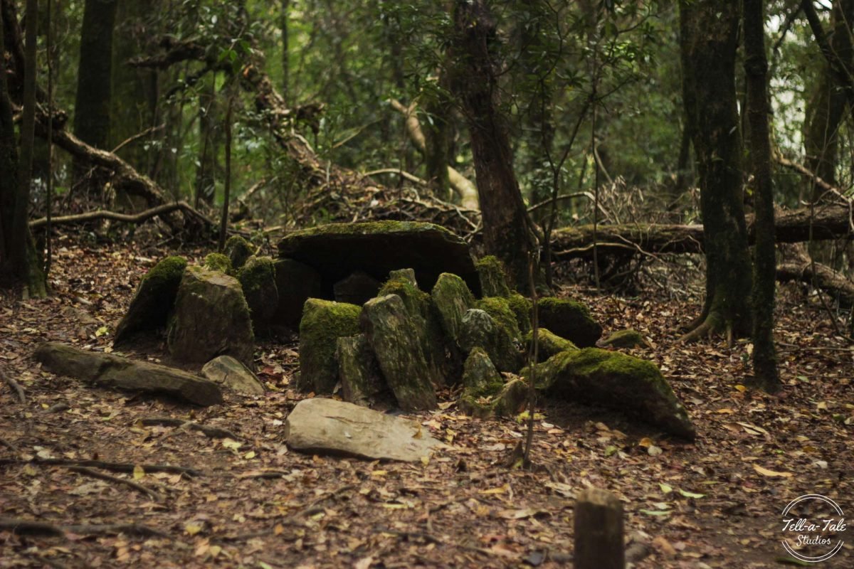 The Unbelievable Mawphlang Sacred forest of Meghalaya - Unwind Outdoor